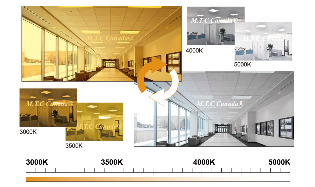 Home - MTC Canada Led Light